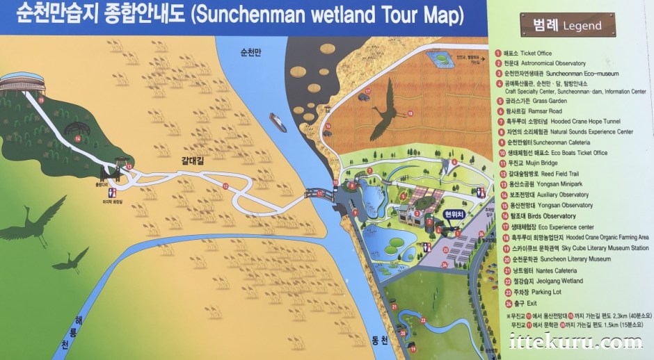 Field Report: Suncheon Bay Wetland, Jeollanam-do, South Korea (24 ...
