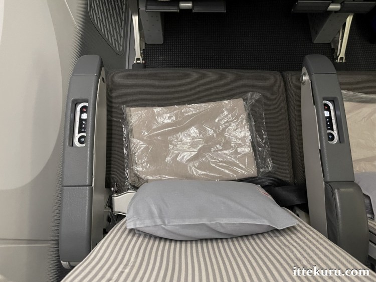 Flight Report: NRT-MNL on Japan Airlines Flight JL 745 (07 December ...