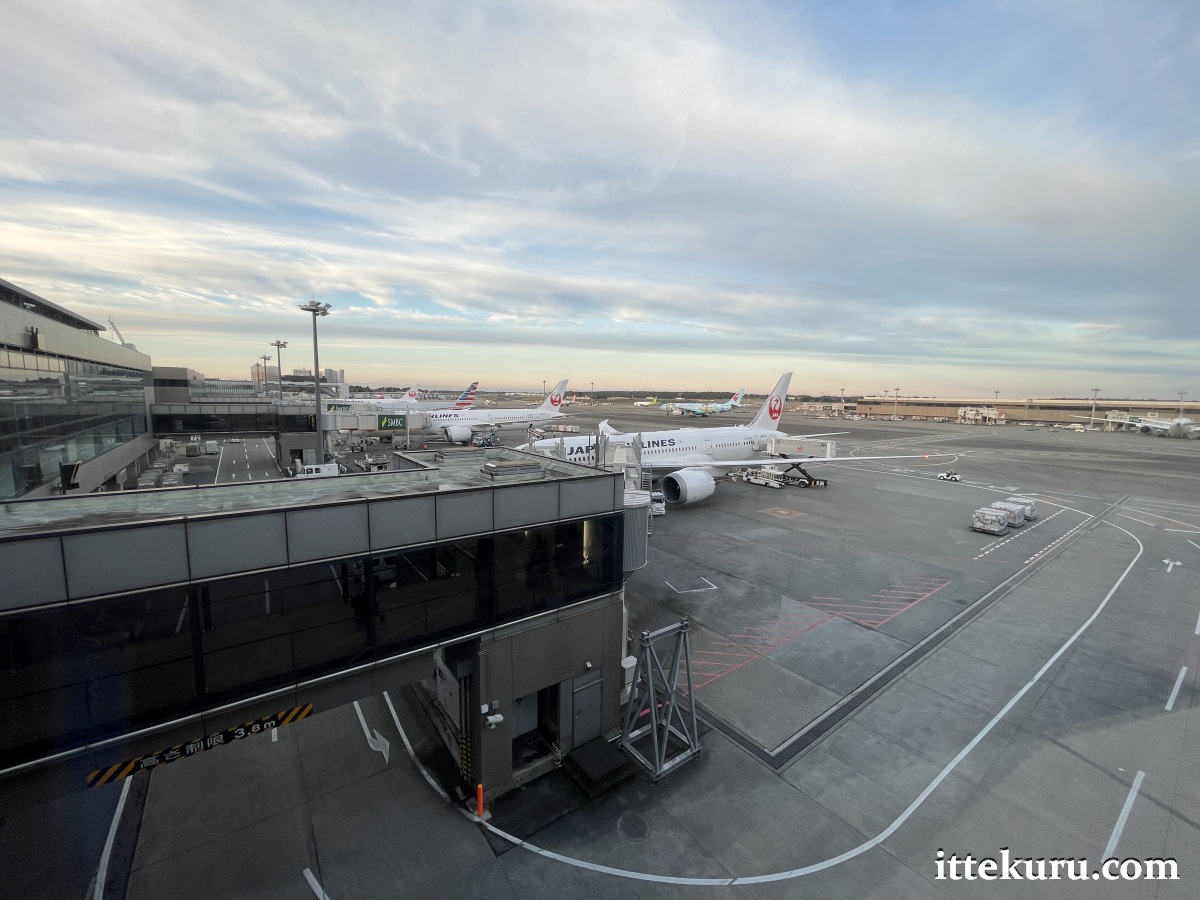 Terminal Report: My First Post-Coronapanic Look at Narita International ...