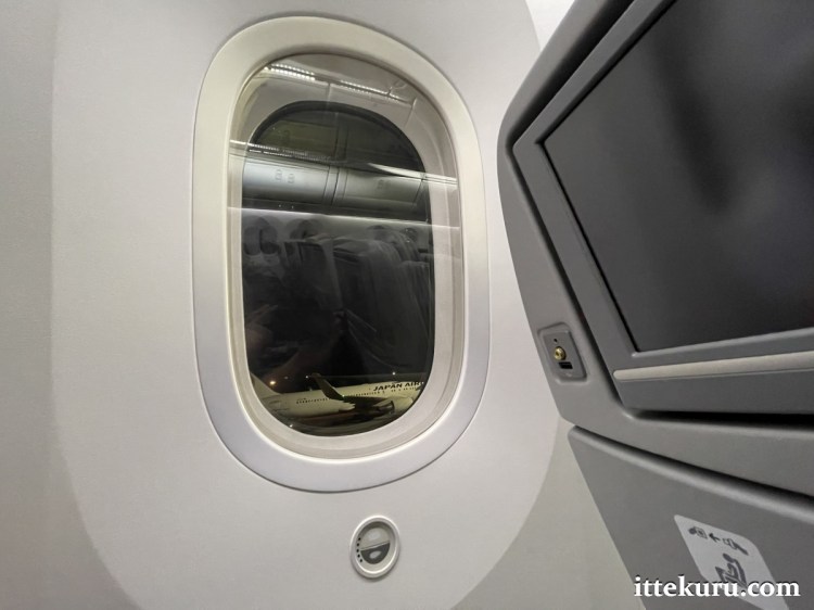 Flight Report: NRT-MNL on Japan Airlines Flight JL 745 (07 December ...