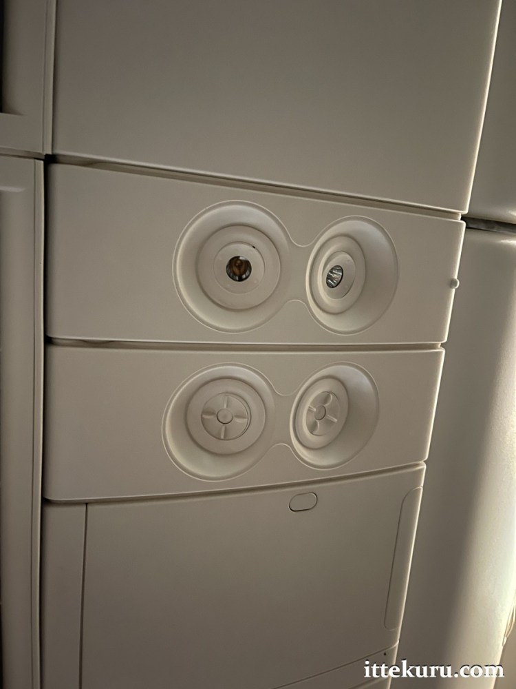 Flight Report: NRT-MNL on Japan Airlines Flight JL 745 (07 December ...