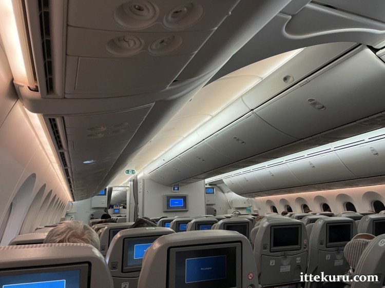 Flight Report: NRT-MNL on Japan Airlines Flight JL 745 (07 December ...