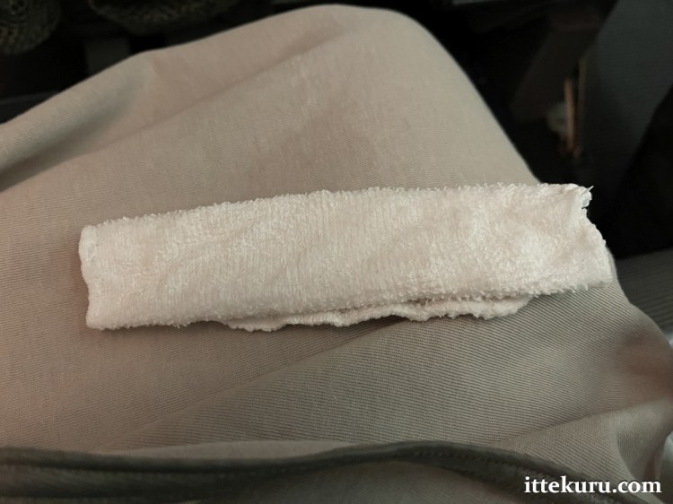 Flight Report: NRT-MNL on Japan Airlines Flight JL 745 (07 December ...