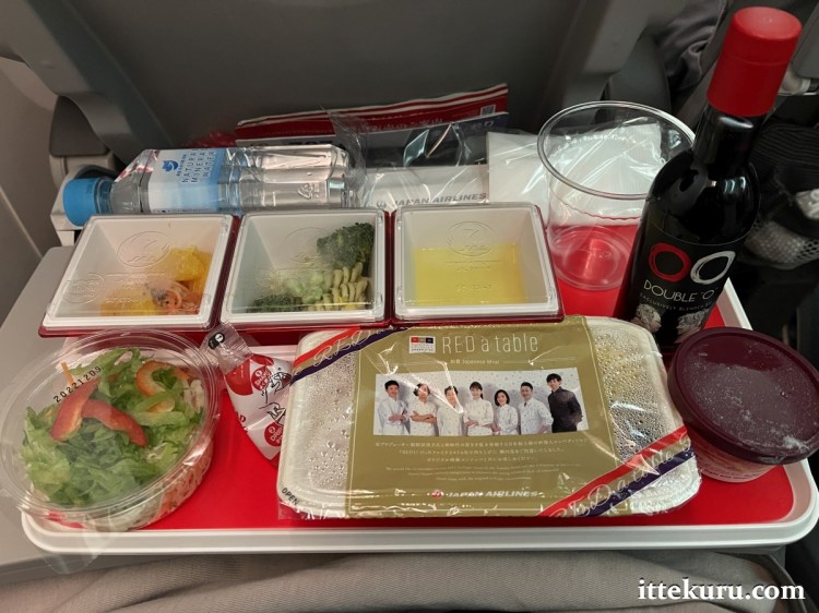 Flight Report: NRT-MNL on Japan Airlines Flight JL 745 (07 December ...