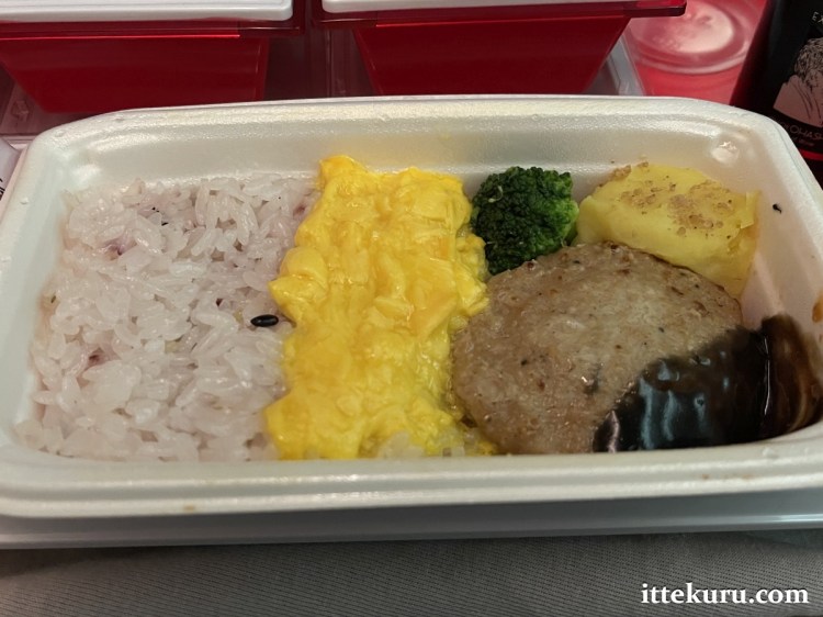 Flight Report: NRT-MNL on Japan Airlines Flight JL 745 (07 December ...