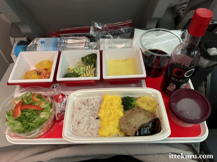Flight Report: NRT-MNL on Japan Airlines Flight JL 745 (07 December ...