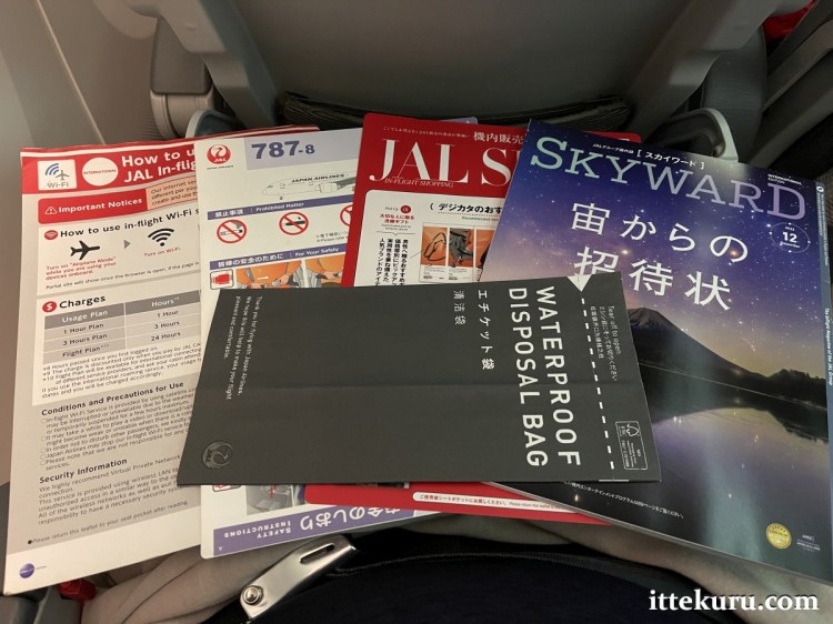 Flight Report: NRT-MNL on Japan Airlines Flight JL 745 (07 December ...