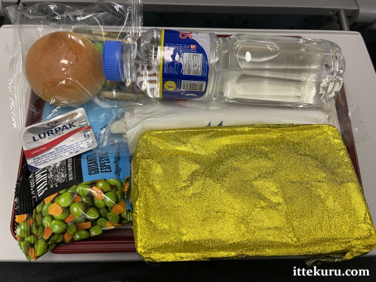 Flight Report: ICN-MNL on Philippine Airlines Flight PR 469 (24 January ...